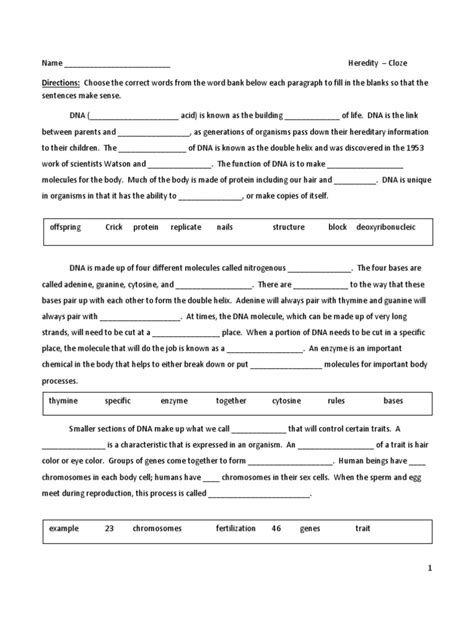Genetics Reading And Comprehension Intermediate Pdf Dna Reproduction