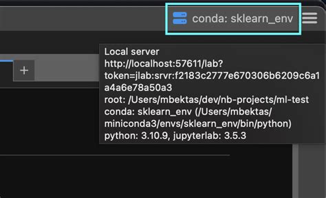 Python Environment Status