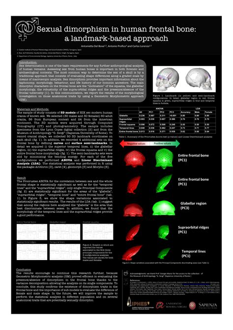 Pdf Sexual Dimorphism In Human Frontal Bone A Landmark Based Approach