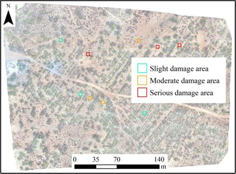 Sample Area Distribution Of Surface Crack Classification Index In The Download Scientific