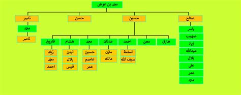 النسب العمري
