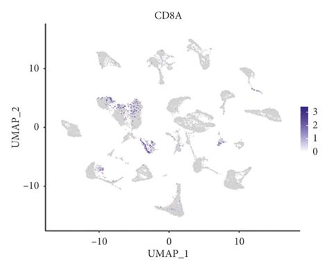 Expression And Distribution Of Cd8 T Cell Markers A C Expression