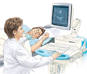 Echocardiogram Central Coast Comprehensive Cardiovascular Imaging