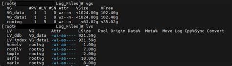 Creation Of A Deduplication Database Partition On A Linux Media Agent With Encrypted Disk