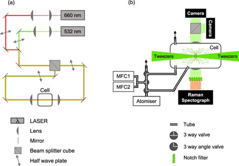 Experimental Setup For Optical Trapping And Characterization Of Single