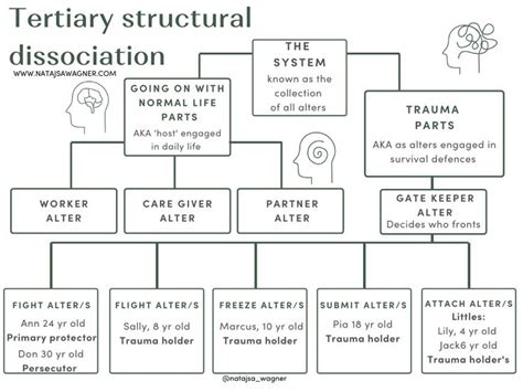 Structural Dissociation Of The Personality