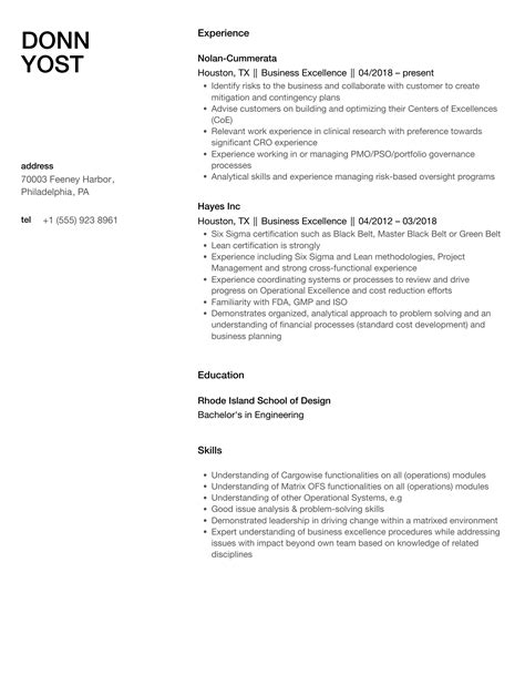Business Excellence Resume Samples Velvet Jobs
