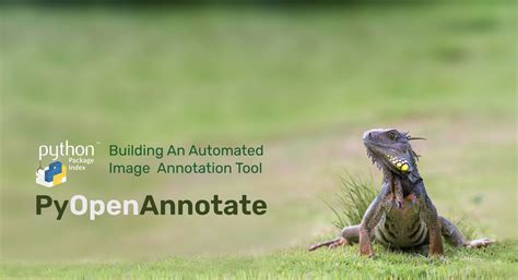 Building An Automated Image Annotation Tool Pyopenannotate