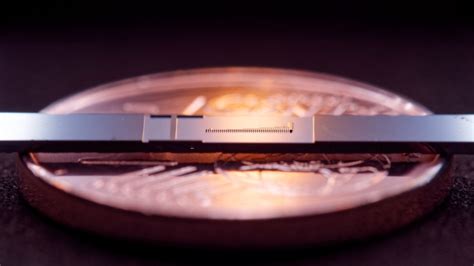 Accelerator On A Chip Created By Inverse Design Algorithm Physics World