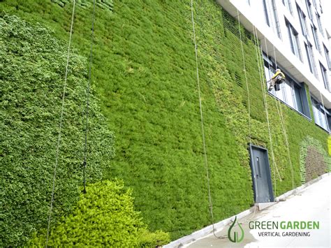 АРТ Лудница Ръчно изработените подаръци онлайн магазин Волният ездач Фотоколаж за