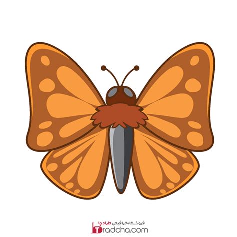 فایل دوربری شده پروانه پسوندpng