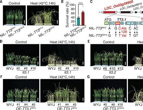 Locus Science At Susan Lebrun Blog