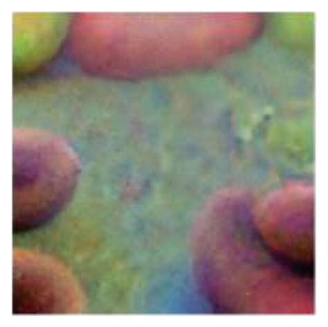 Four Batches Of Adversarial Patches Generated By Our Work Download Scientific Diagram