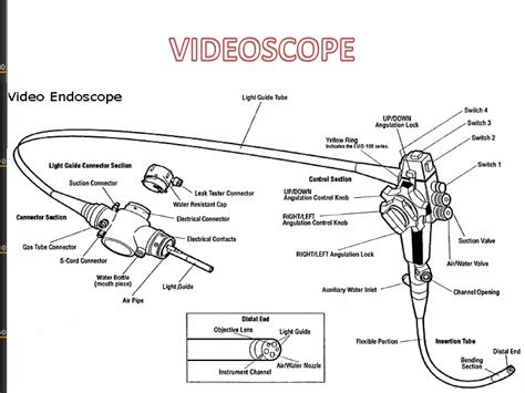 Endoscopes Presentationpdf Eye And Vision Conditions Diseases And Endoscopes Presentationpdf Eye And Vision Conditions Diseases And