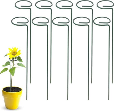 10 Stuks Plantensteunen Kleine Plantenhouders Struiksteun Staal