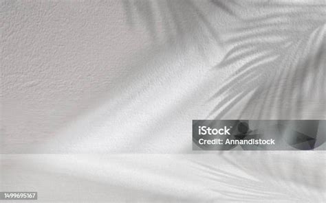 스튜디오 배경 회색 콘크리트 벽 배경에 햇볕이 잘 드는 그림자 시멘트 바닥에 추상적인 조명이 있는 빈 흰색 스튜디오 룸 제품 프레젠테이션을 위한 배경 디스플레이 그림자에