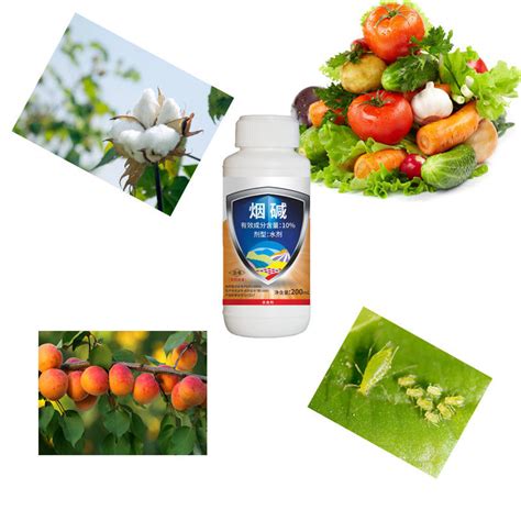 10 Nicotine Brown Planthopper Pesticides Aphid Control Insecticide