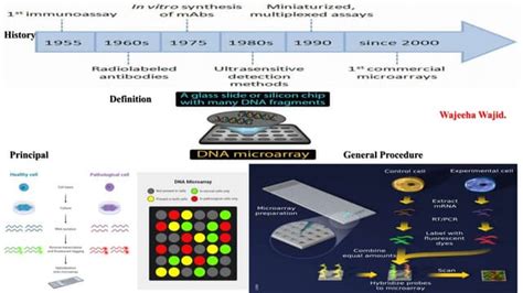 Microarray Technology History Types And Principle Pptx