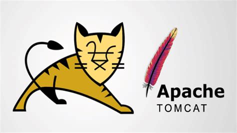 Information Revelation DoS Bugs Fixed In Apache Tomcat CERTStation Blog