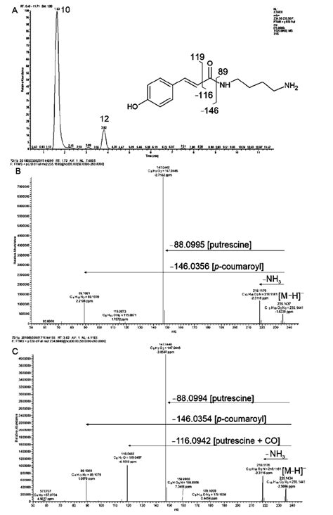 Representative Chromatogram A And High Resolution Ms Ms Spectra Download Scientific Diagram