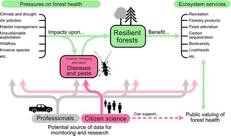 Overview Of How Citizen Science Can Help With The Monitoring Of Download Scientific Diagram