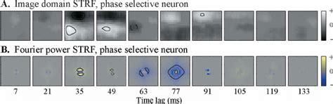 Comparison Of Image Domain And Fourier Power Strfs Estimated For One V1