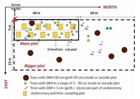 Diagram Of Nested Plot For C Stock Measurement Hairiah Et Al 2011