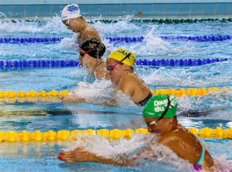 What Are The Four Swimming Strokes Differences Features History