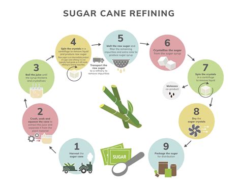 Refining And Processing Real Sugar