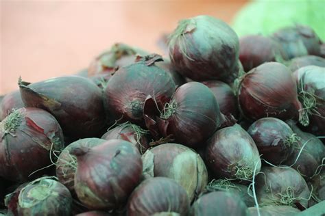 “Алтан намар 2023” үзэсгэлэн худалдаа Баянзүрх дүүрэгт нээлтээ хийлээ