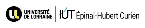Candidature Iut Épinal Hubert Curien