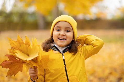 공원이나 숲에서 야외를 걷고 있는 단풍 꽃다발을 가진 노란 모자와 비옷을 입은 귀여운 사랑스러운 유아 소녀 아이 가을에 대한 스톡 사진 및 기타 이미지 Istock