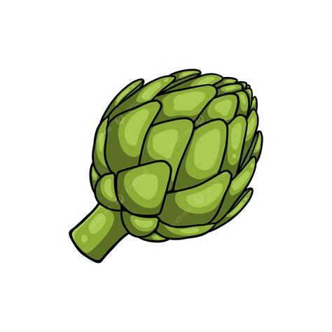 아티초크 만화 일러스트 벡터 클립 아트 아티초크 아티초크 야채 야채 클립 아트 Png 일러스트 및 Psd 이미지 무료 다운로드 Pngtree