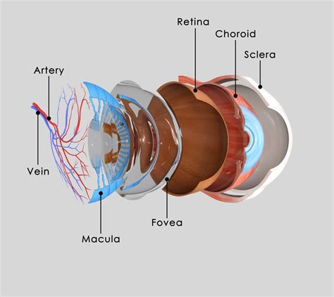 Elmiron Lawsuit Eye Damage And Vision Problems