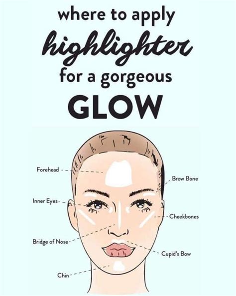 Where To Apply Makeup Highlighter Infovis