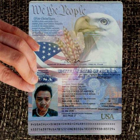 Us Passport Photo Palacevere