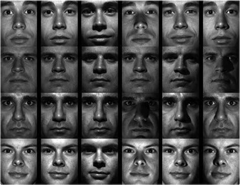 samples of the extended yale face database b each row represents
