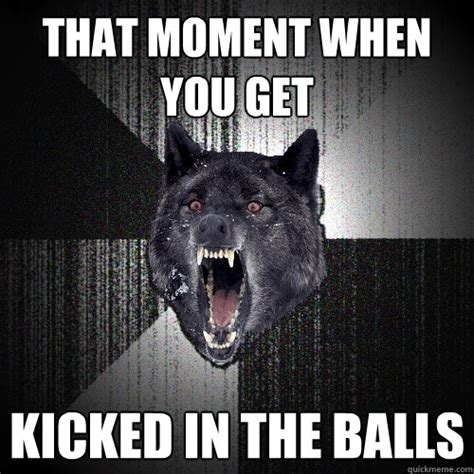 That Moment When You Get Kicked In The Balls Insanity Wolf Quickmeme