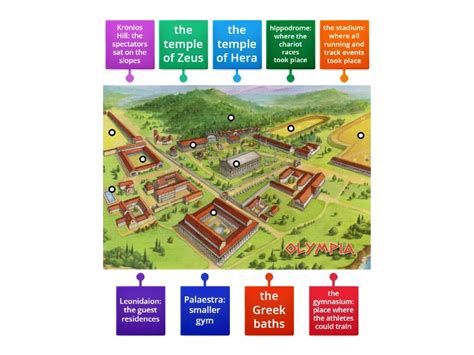 7 Inside Olympia 3 Labelled Diagram