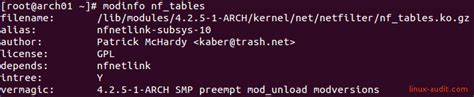 Beginners Guide To Traffic Filtering With Nftables Linux Audit