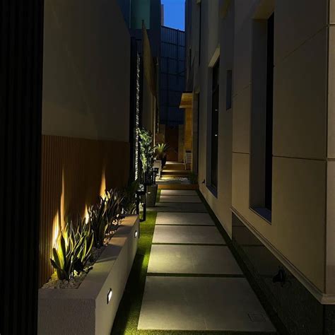 Gezellige Steeg Met Lichtjes En Planten