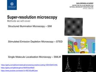 Structured Illumination Microscopy Fundamentals And Applications PDF