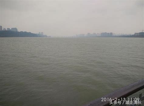 獨立寒秋湘江北去橘子洲頭看萬山紅遍 每日頭條