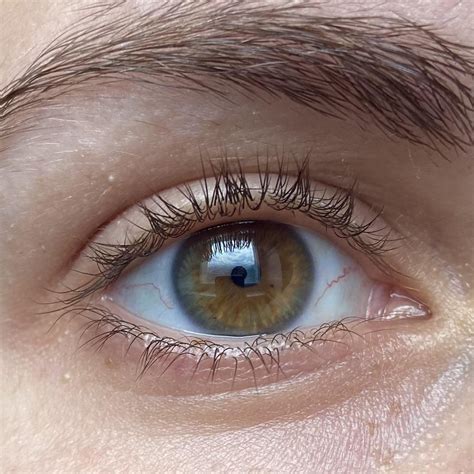What Color Are My Eyes Brown Or Hazel Eyes