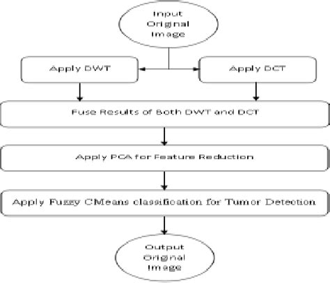 Figure 3 1 From Brain Tumor Detection Using Hybrid Model Of Dct Dwt And Thresholding Semantic