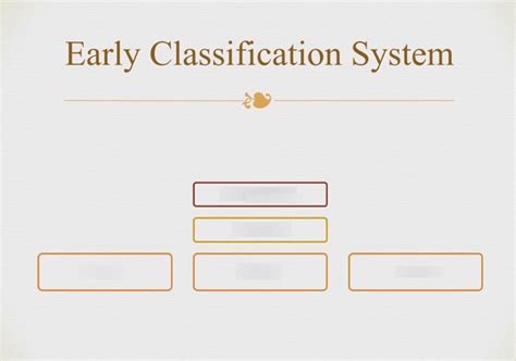Early Classification System Diagram Diagram Quizlet