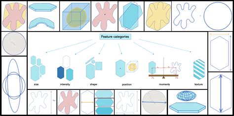 Feature Extraction In Napari Focalplane
