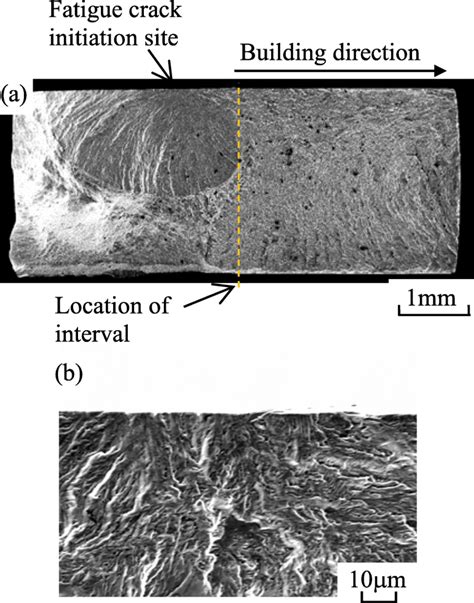 Fatigue Fracture Surface Of Lmded Specimen With Interval A Macroscopic Download Scientific