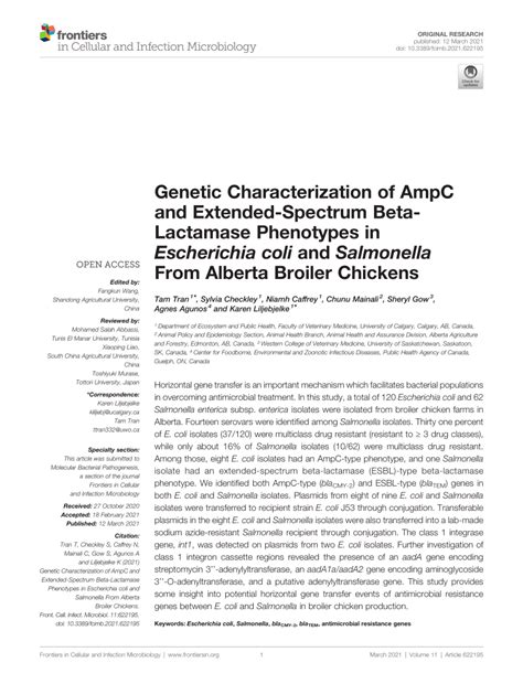 Pdf Genetic Characterization Of Ampc And Extended Spectrum Beta Lactamase Phenotypes In