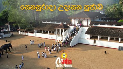 සපරගමු මහ සමන් දේවාල සෙනසුරාදා උදෑසන පූජාව Youtube